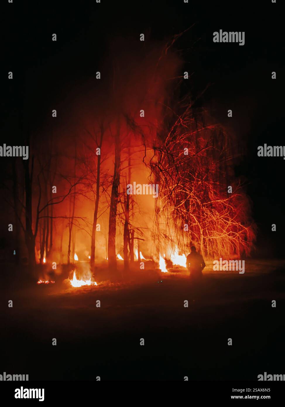 River in wild forest night hi-res stock photography and images - Alamy