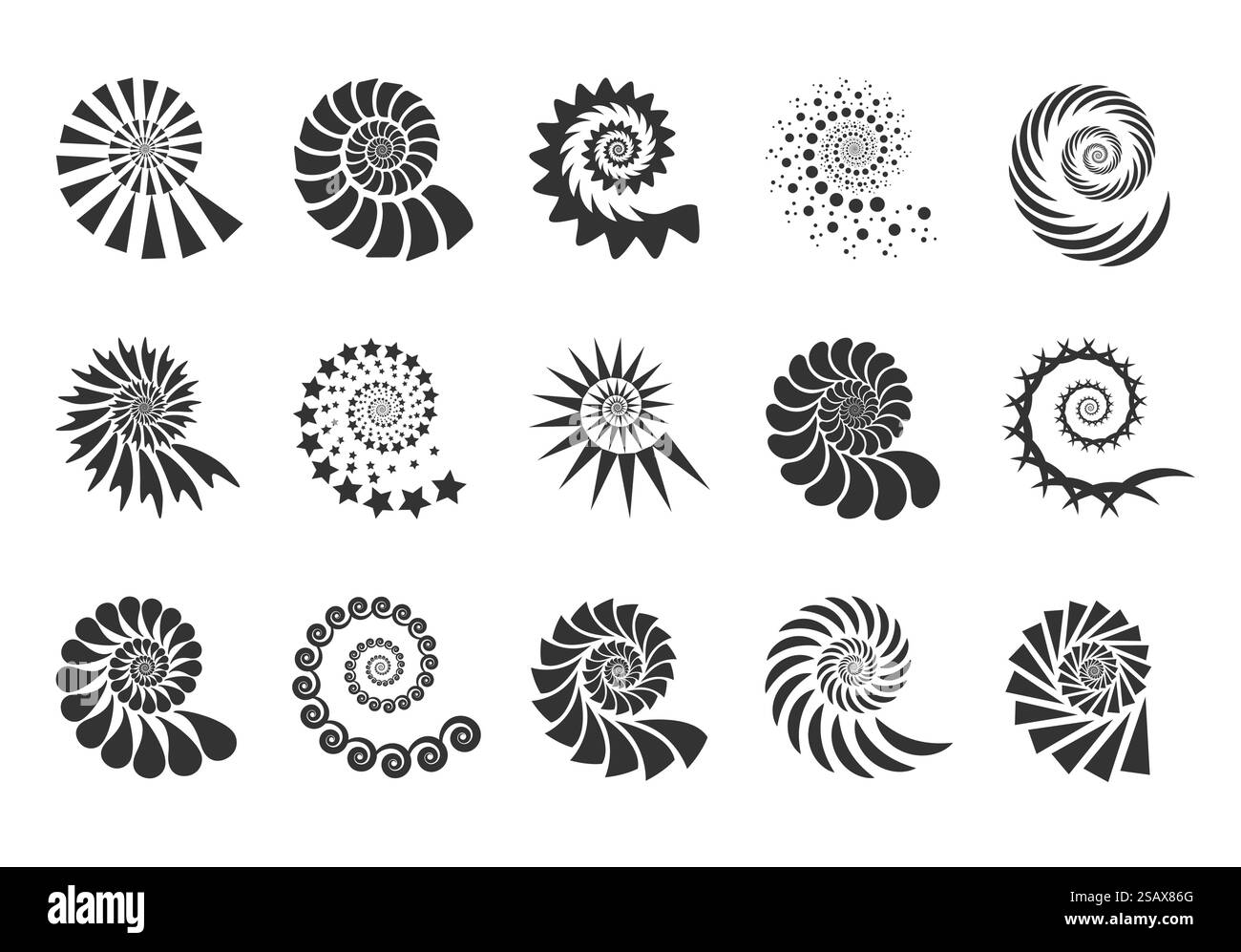 Swirl design element. Spiral icon. Set twisting lines isolated on white background. Seashells ...