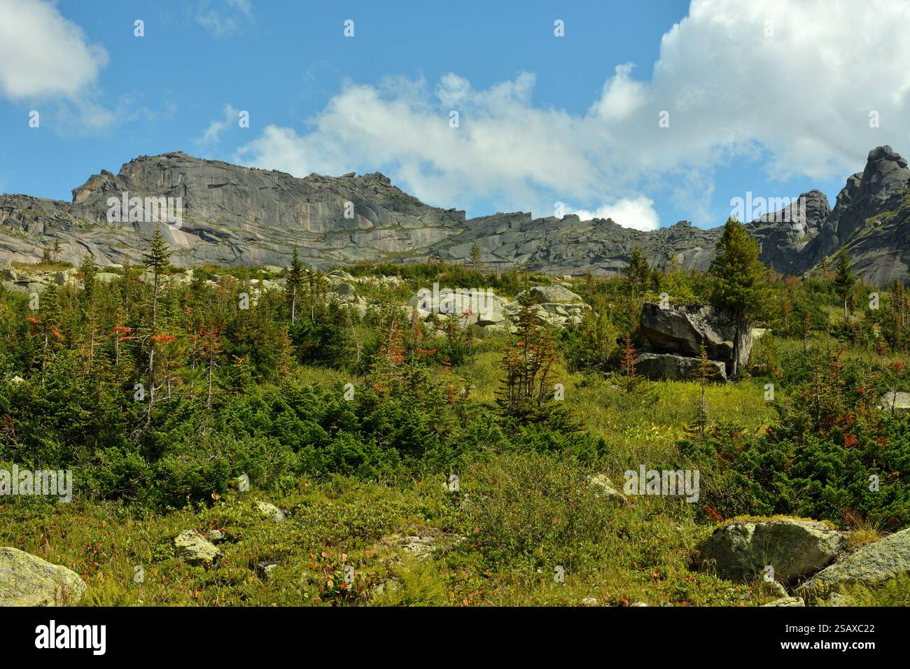 The gently sloping rocky slope of the mountain is partially overgrown ...