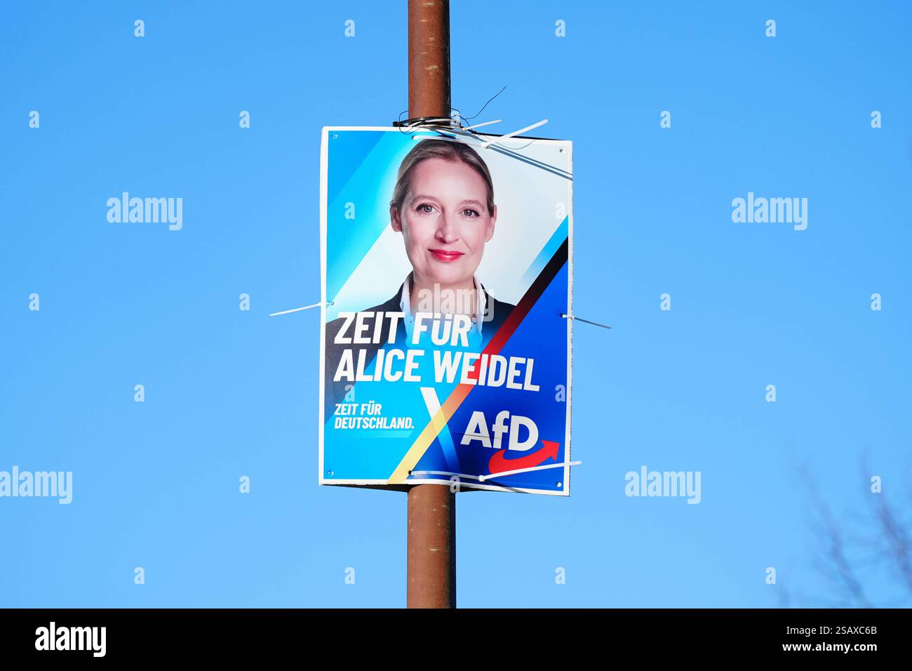 Ahrensburg Themenfoto: Wahlplakate, 31.01.2025 Wahlplakat der AfD mit ...