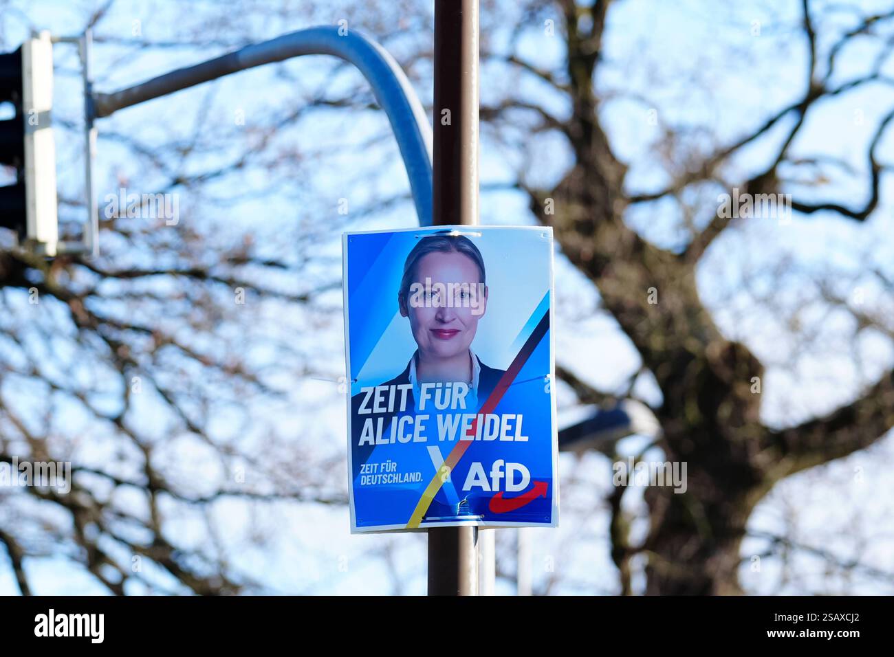 Ahrensburg Themenfoto: Wahlplakate, 31.01.2025 Wahlplakat der AfD mit ...