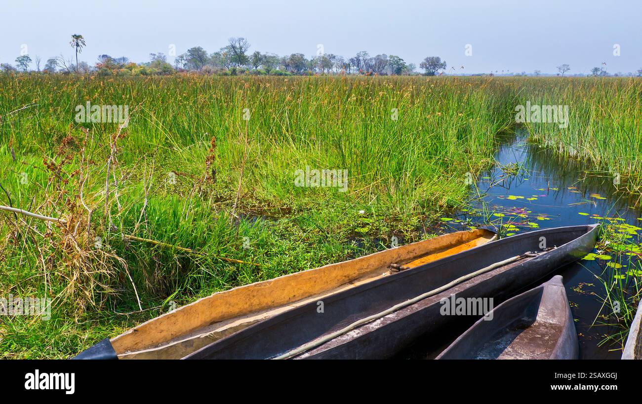 Mokoro, Dugout canoes, Traditional Boat, Okavango Wetlands, Okavango ...