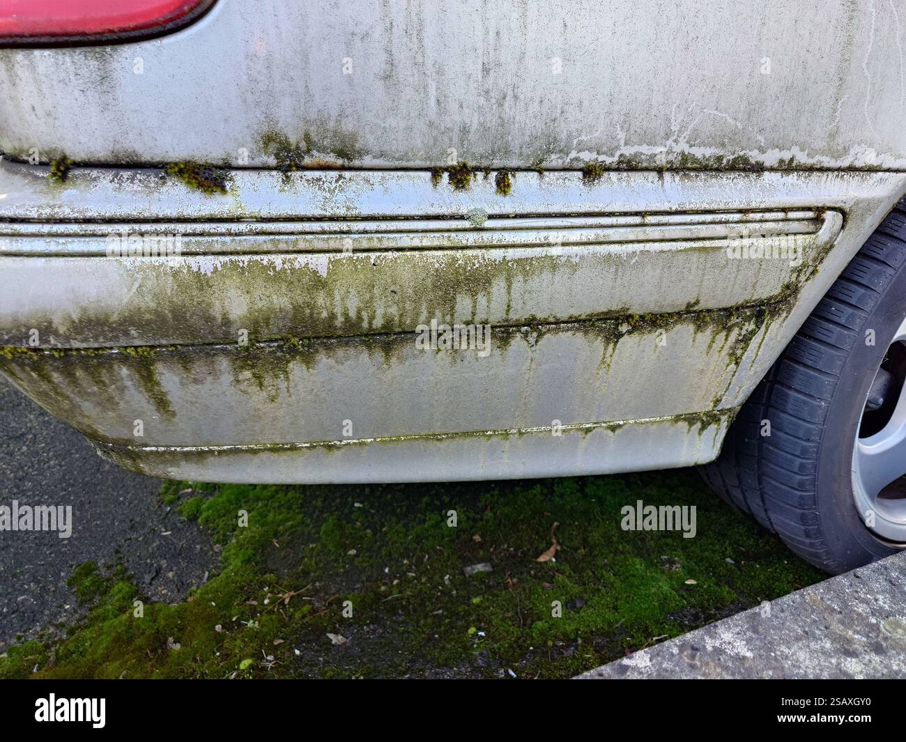 Mold and rust on the exterior panels of an old, gray, street abandoned ...
