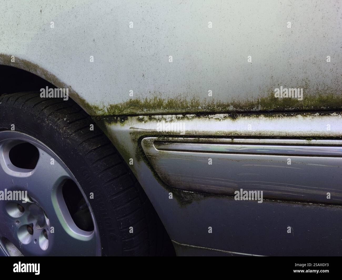 Mold and rust on the exterior panels of an old, gray, street abandoned ...