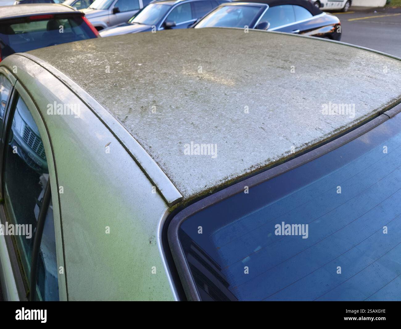 Mold and rust on the exterior panels of an old, gray, street abandoned ...