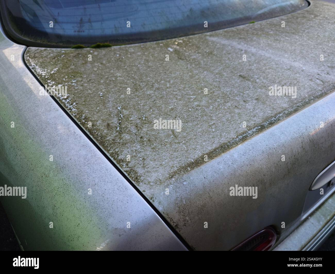 Mold and rust on the exterior panels of an old, gray, street abandoned ...