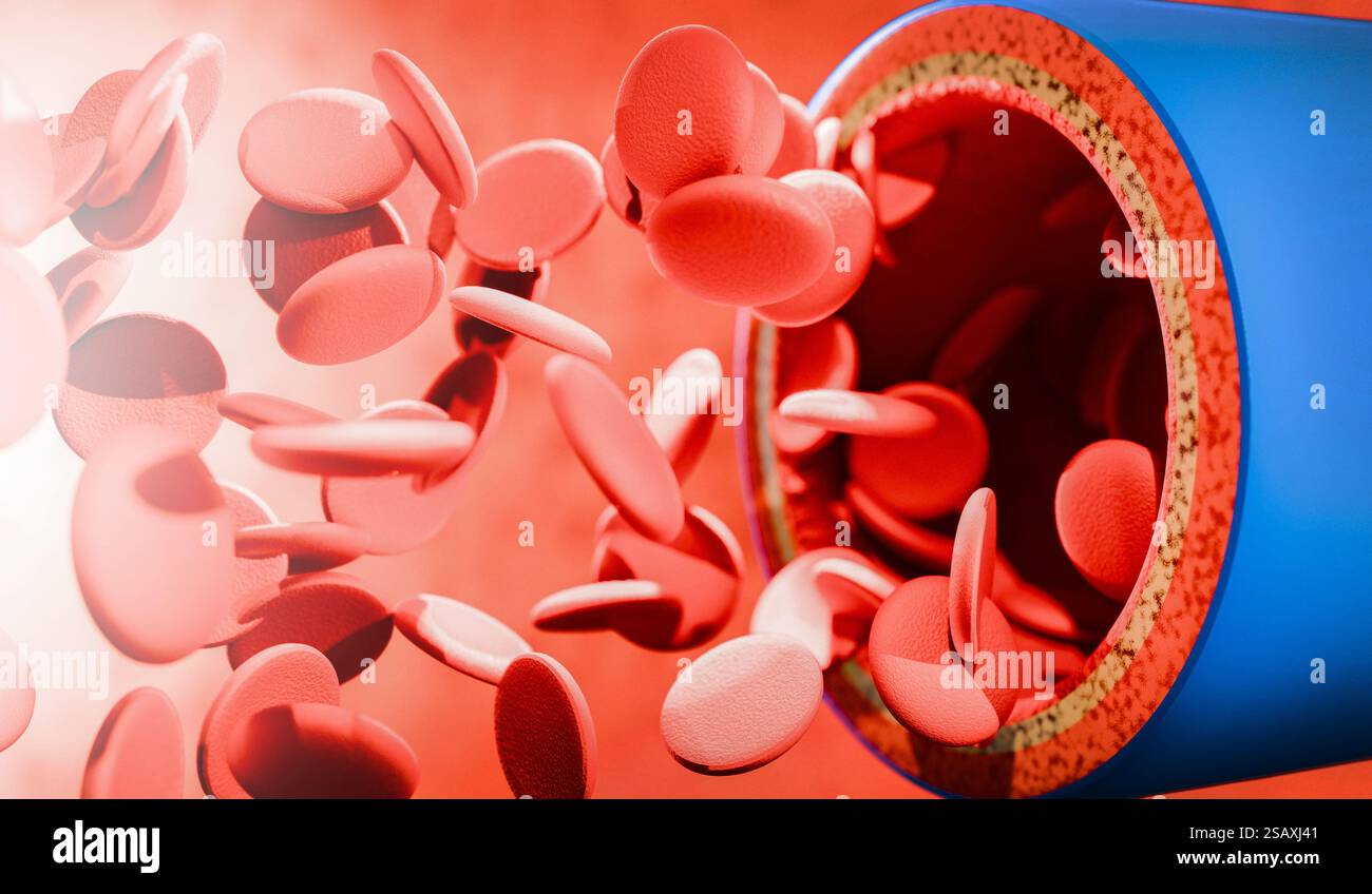 Blood vessels 3d rendering closeup image Stock Photo - Alamy