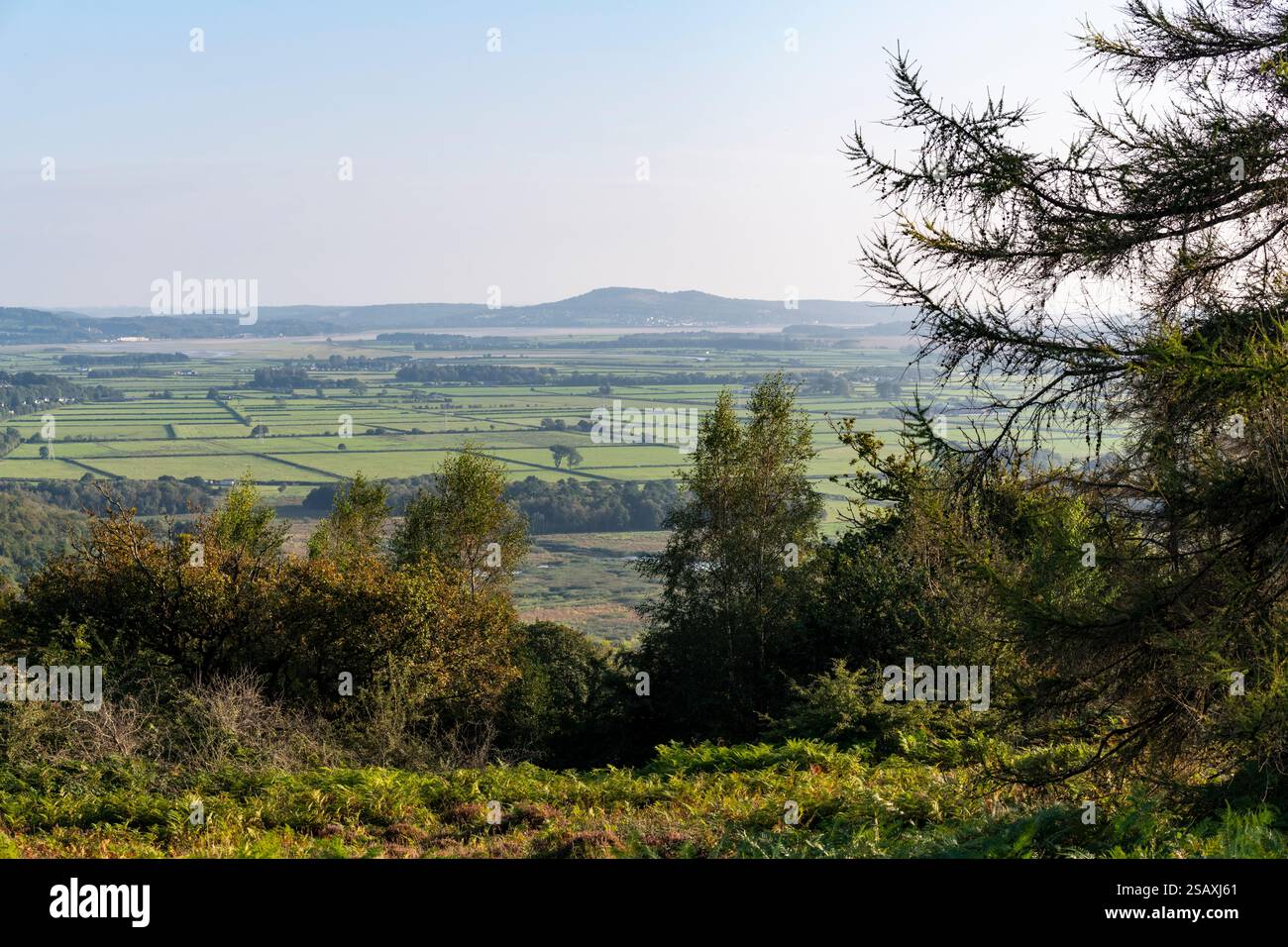 View of the Lyth Valley from Scout Scar near Kendal, Lake District ...