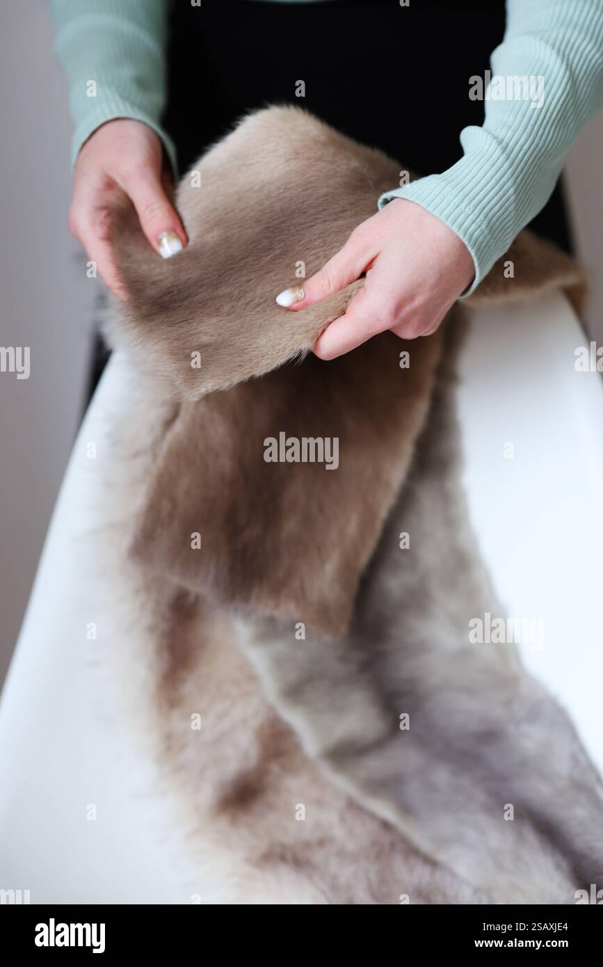 female hands working with mink fur skin at atelier, workshop Stock ...