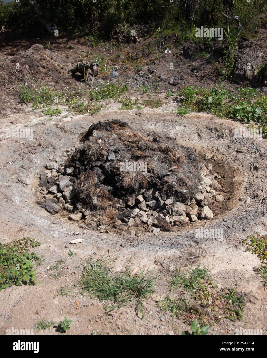 Stone oven in the ground for cooking maguey in an artisanal Mezcal ...