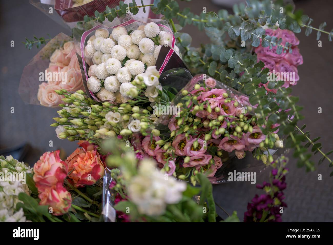 Rosa sweet avalanche hi-res stock photography and images - Alamy