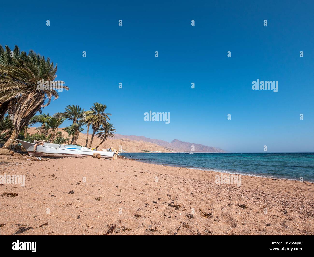 Palm trees boat on hi-res stock photography and images - Alamy