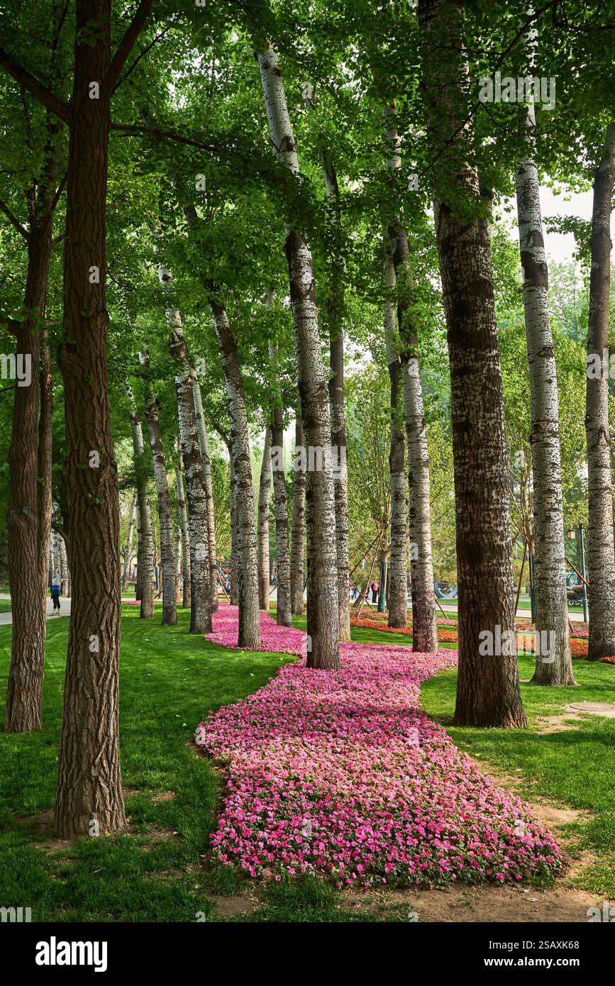 Temple of the Sun (Ritan Park) in Spring, in Chaoyang District in ...