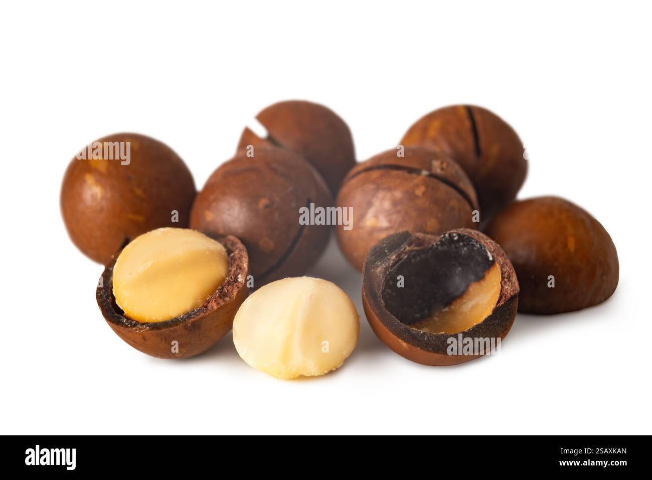 A variety of macadamia nuts are arranged to highlight their firm shells ...