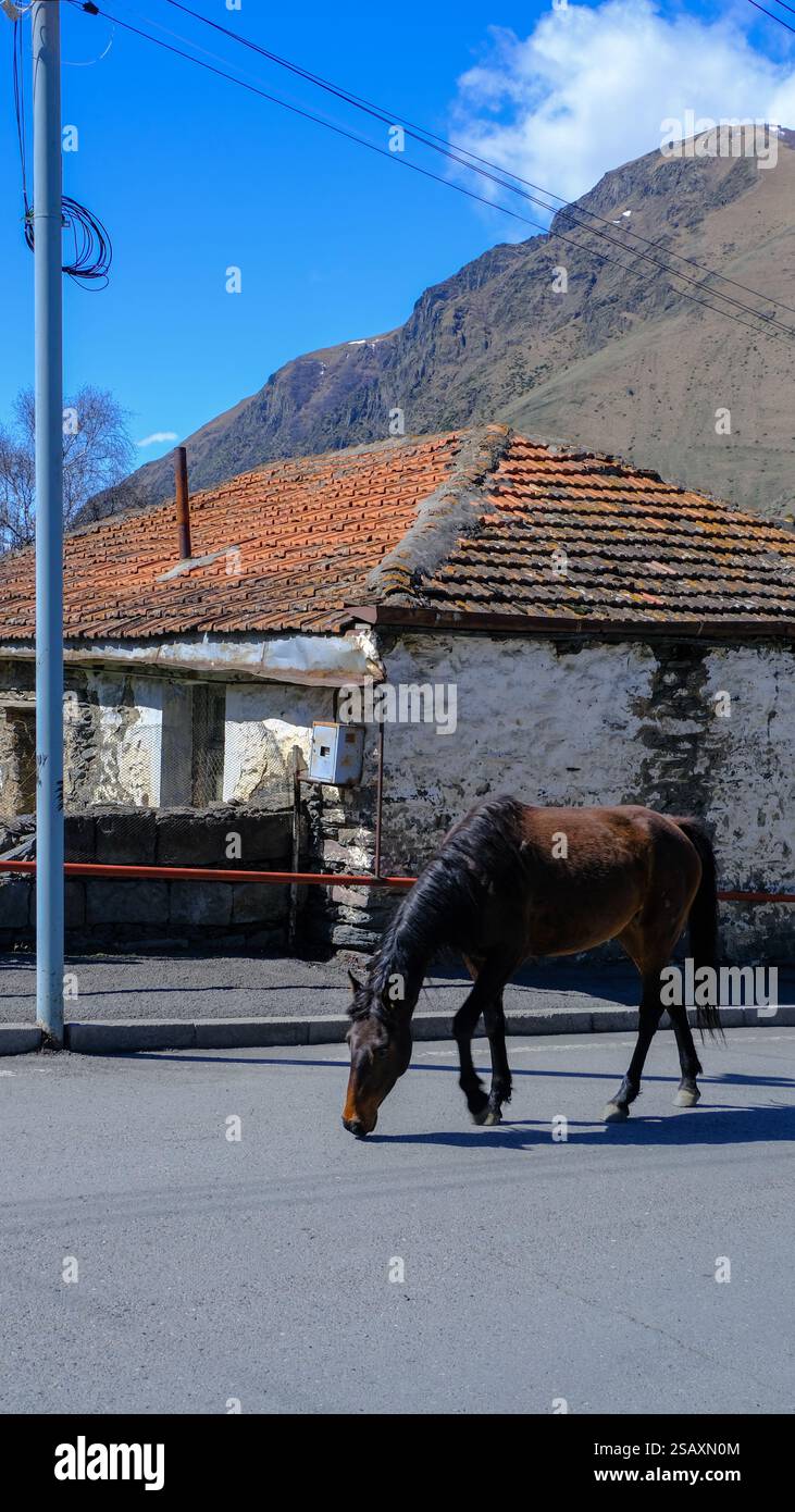 Stepansminda is a small town in the north-east of Georgia. Mount ...