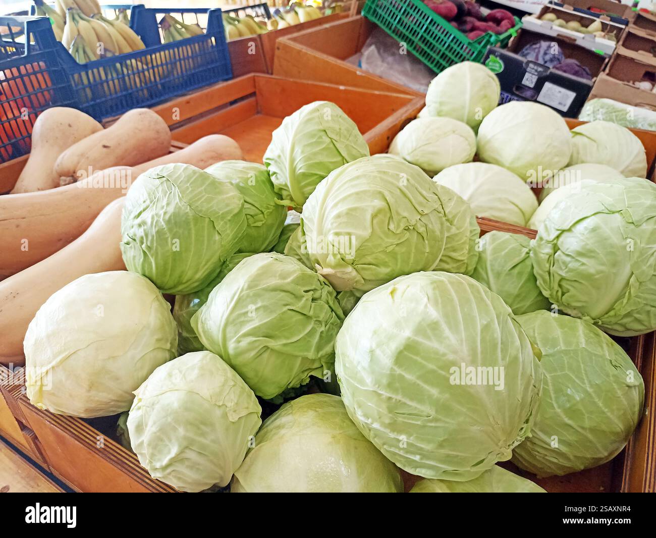 Fresh green cabbages and gourds at local market stall Stock Photo - Alamy