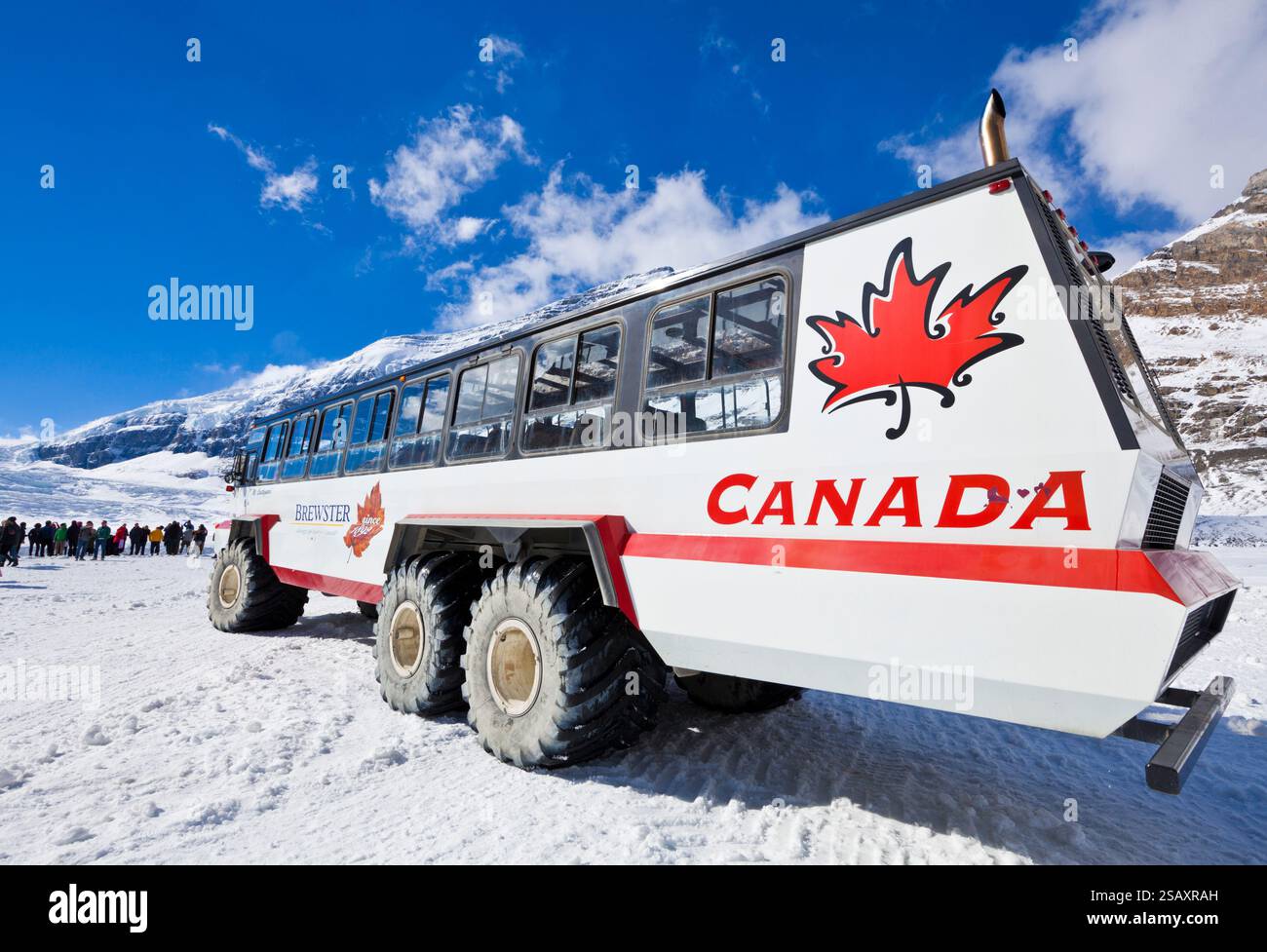 Brewsters Snocoach Ice Explorer Columbia Icefield Athabasca glacier in the Canadian Rockies ...