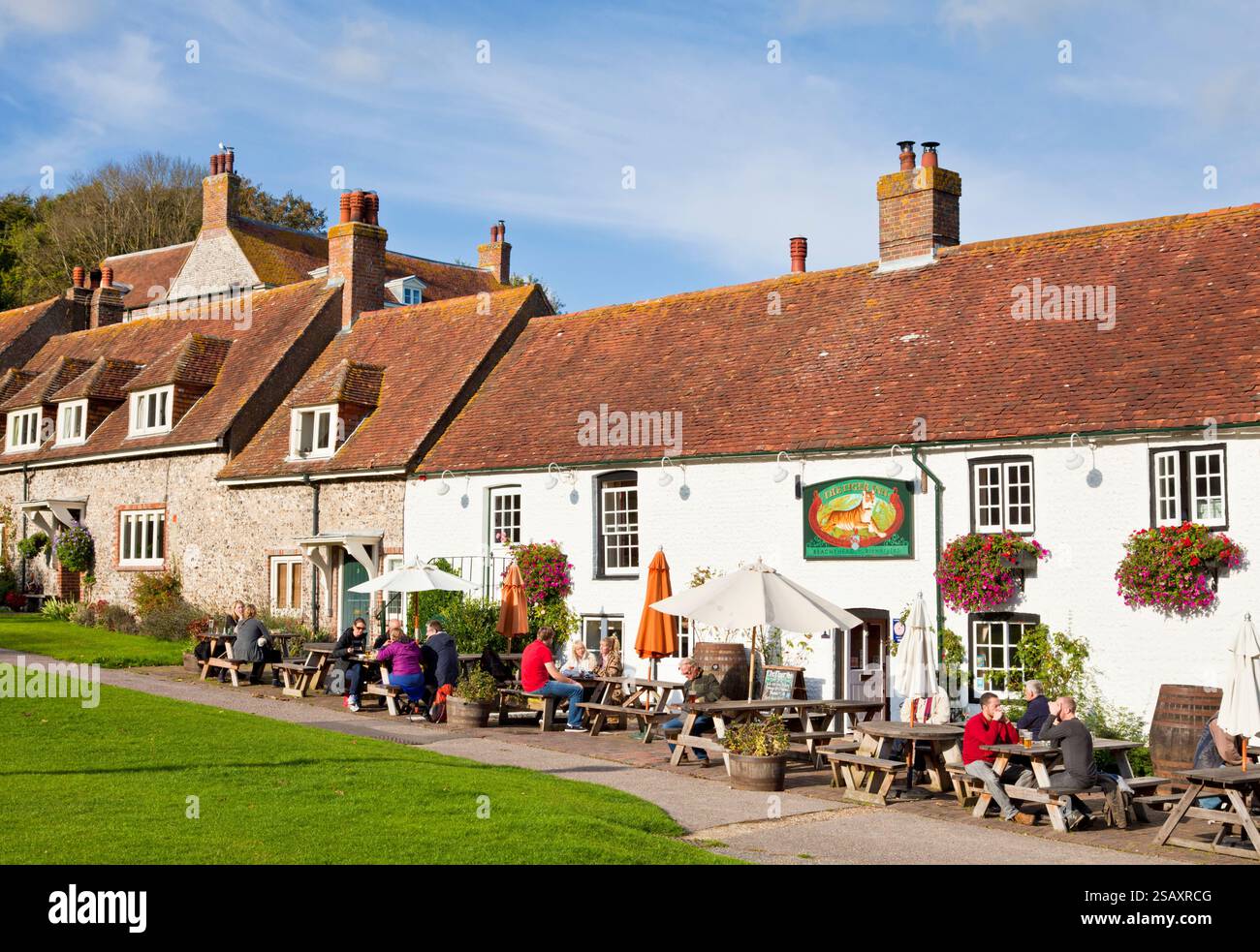 People sat outside The Tiger Inn East Dean on the village green East ...