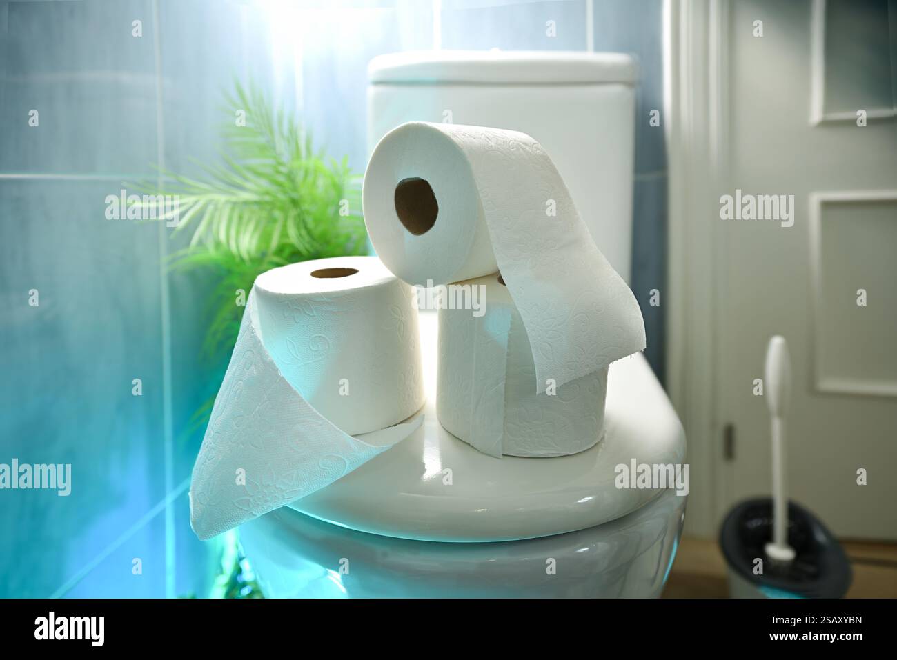 Stack textured perforated toilet hi-res stock photography and images ...