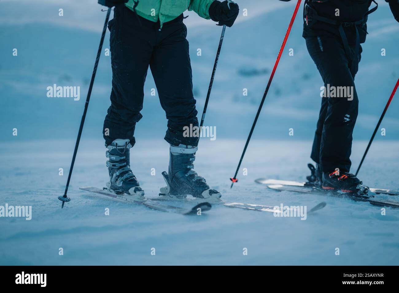 Two skiers in action on a snowy slope during daytime Stock Photo - Alamy