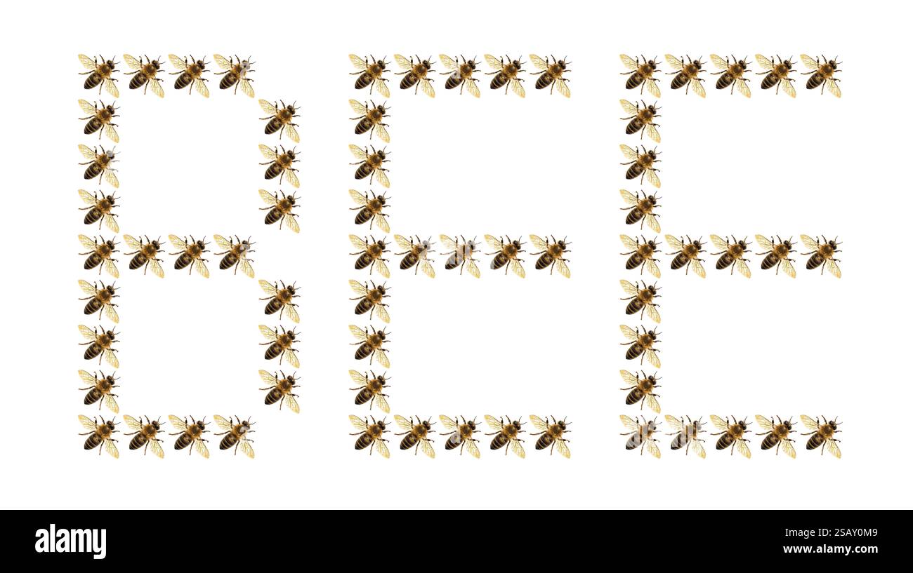 the word bee composed of many bees on the white background, honey bee or honeybee in Latin Apis ...