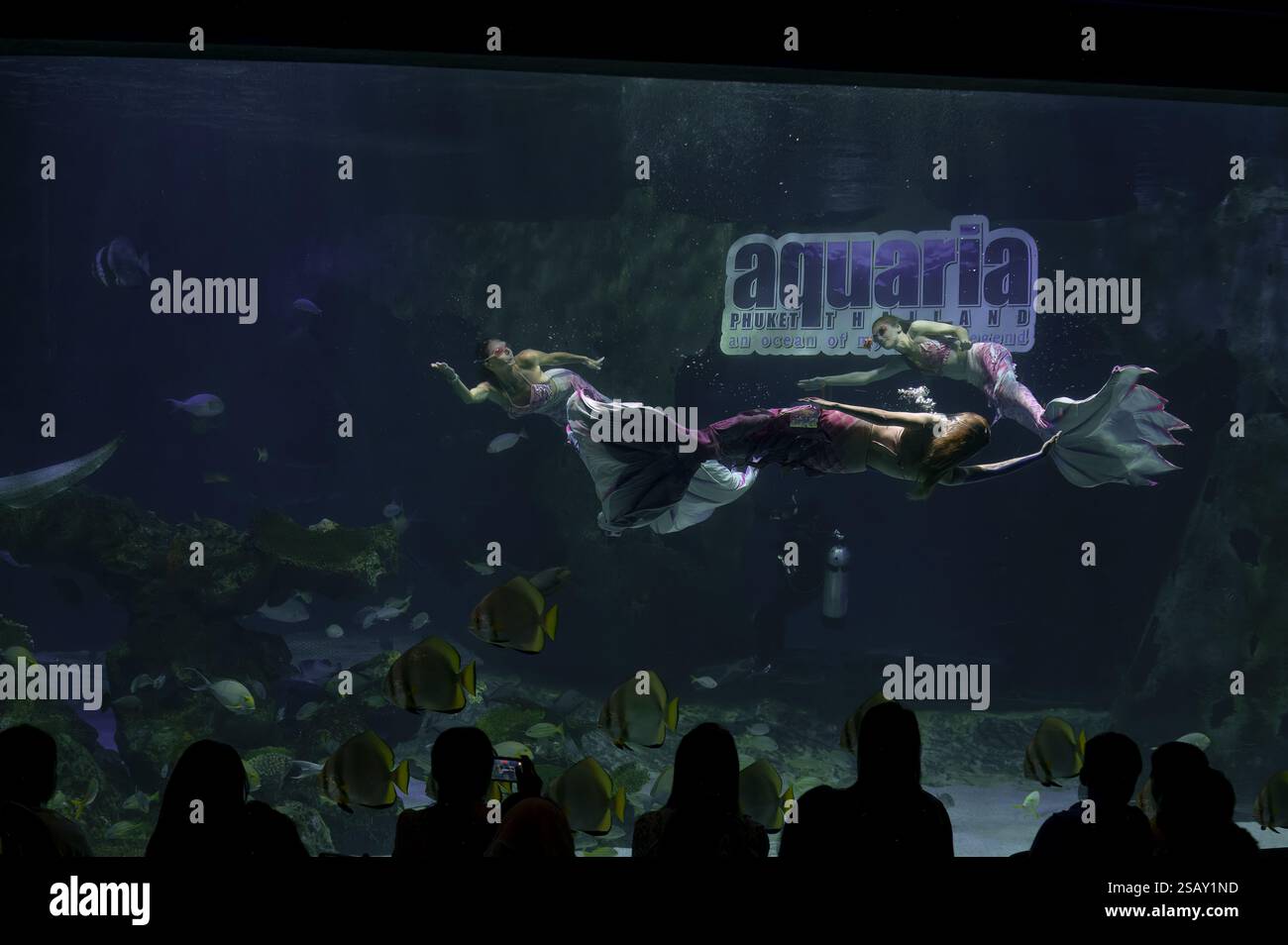 Underwater spectacle in the shark tank of the phuket aquarium hi-res ...