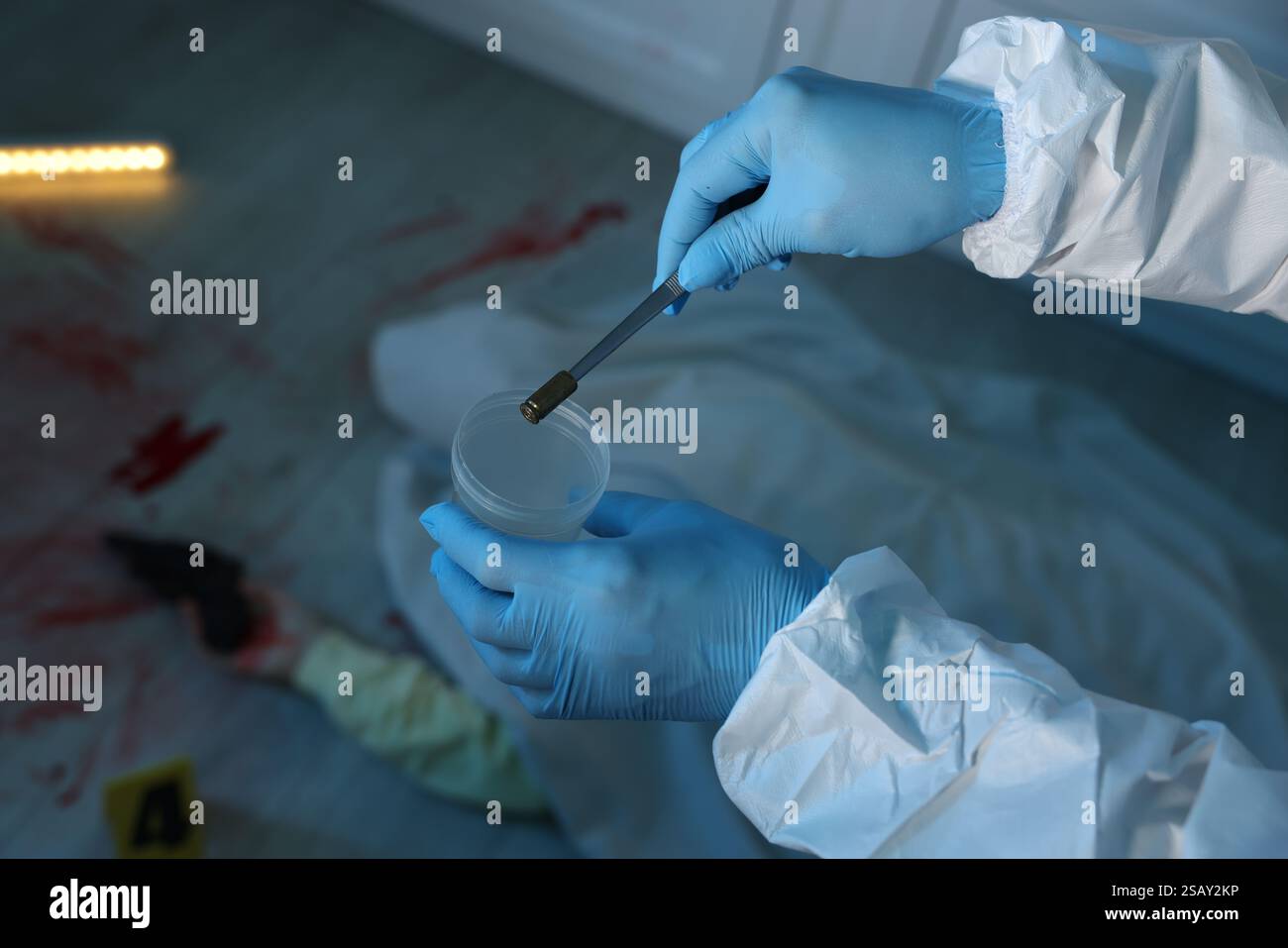 Forensic expert collecting bullet shell into container and dead body at ...