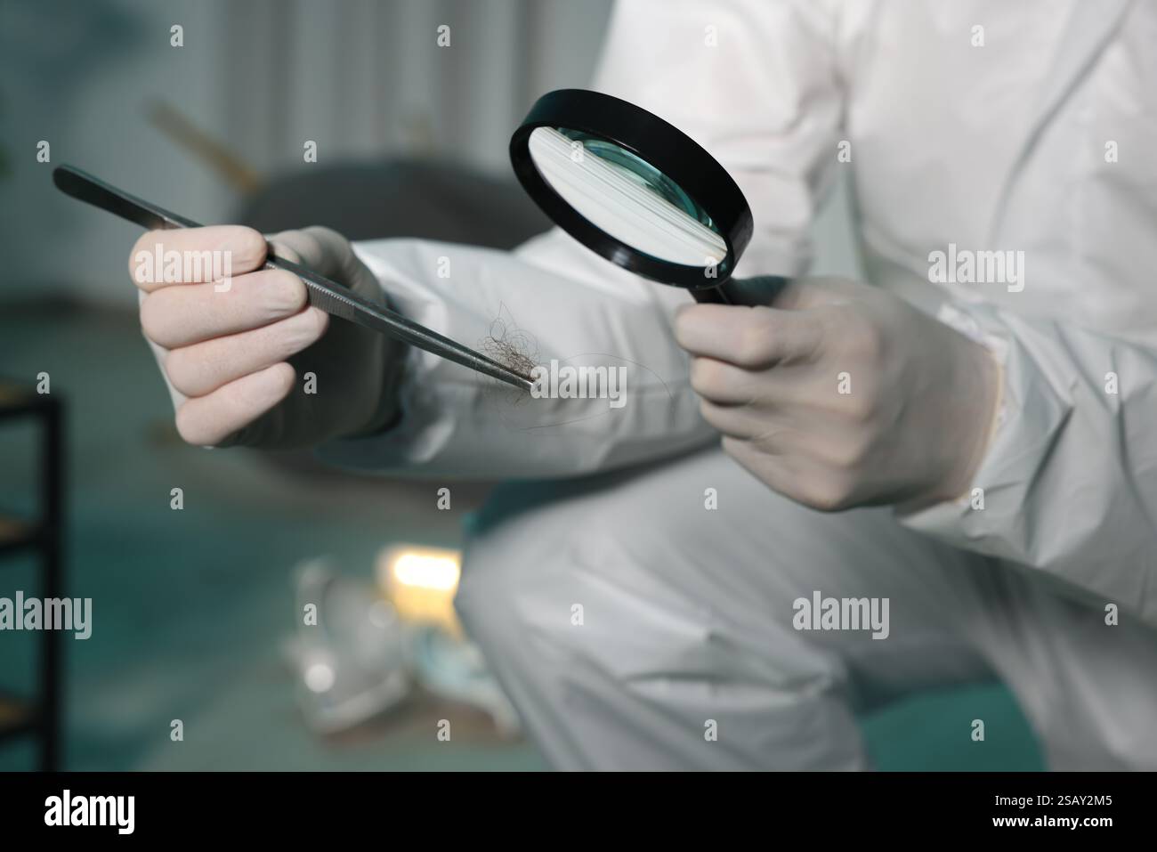 Forensic expert with tweezers examining hair through magnifying glass ...