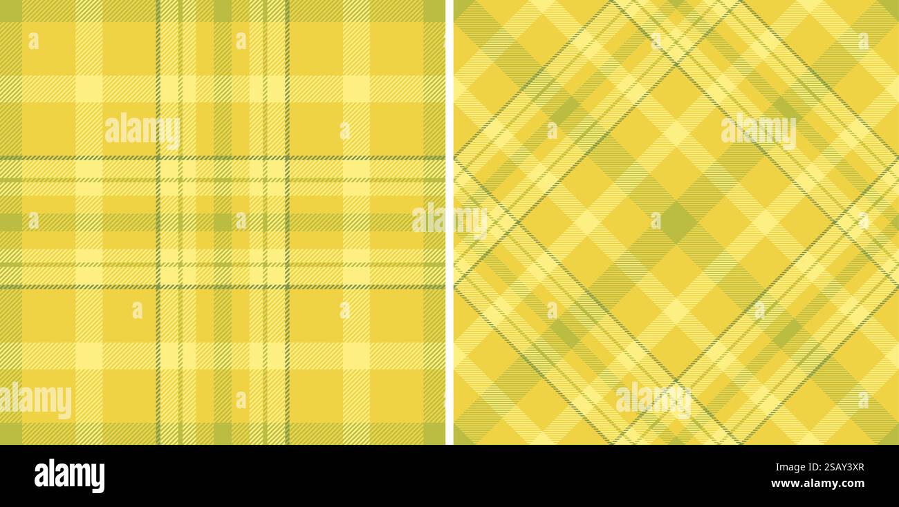 Fabric texture seamless of pattern textile plaid with a vector tartan ...