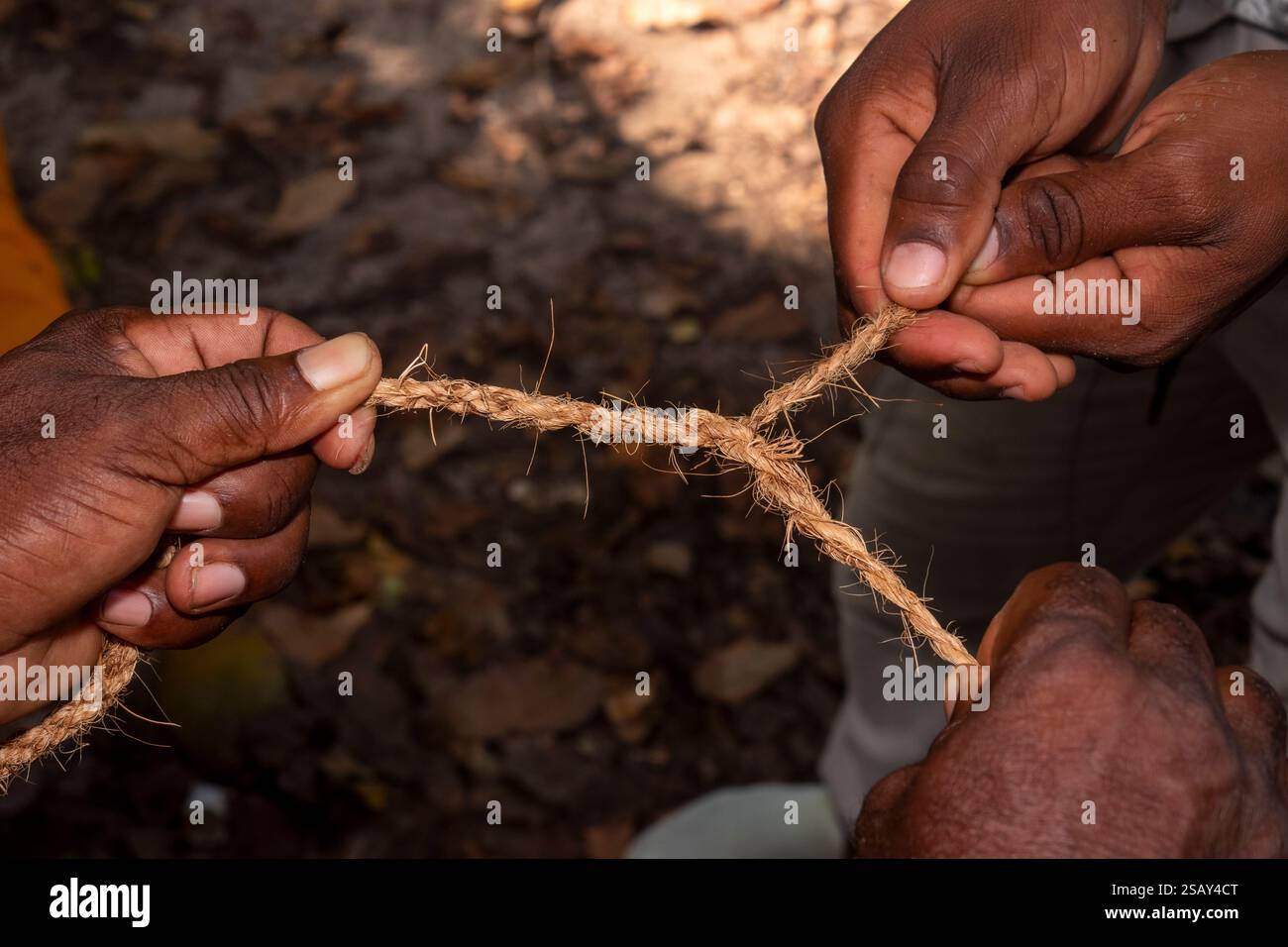 Africa Tanzania, Zanzibar, East Coast, Jambiani, village cultural tour ...
