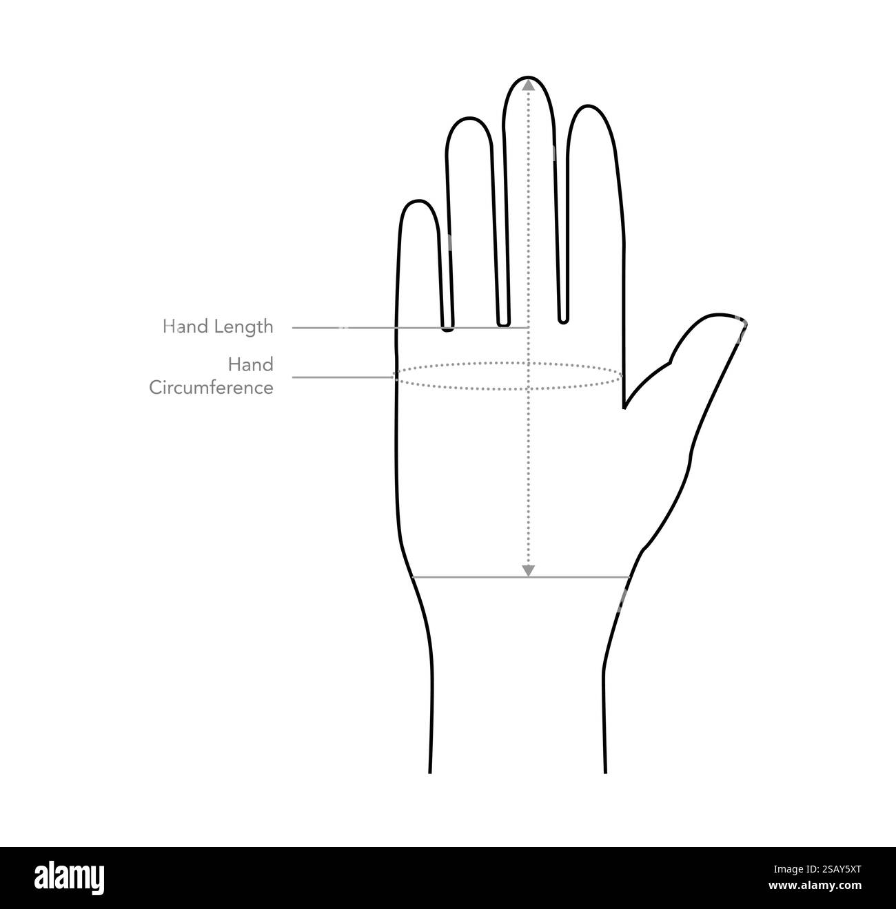 Diagram of measuring hands for Gloves, mittens, mitts Fashion accessory ...