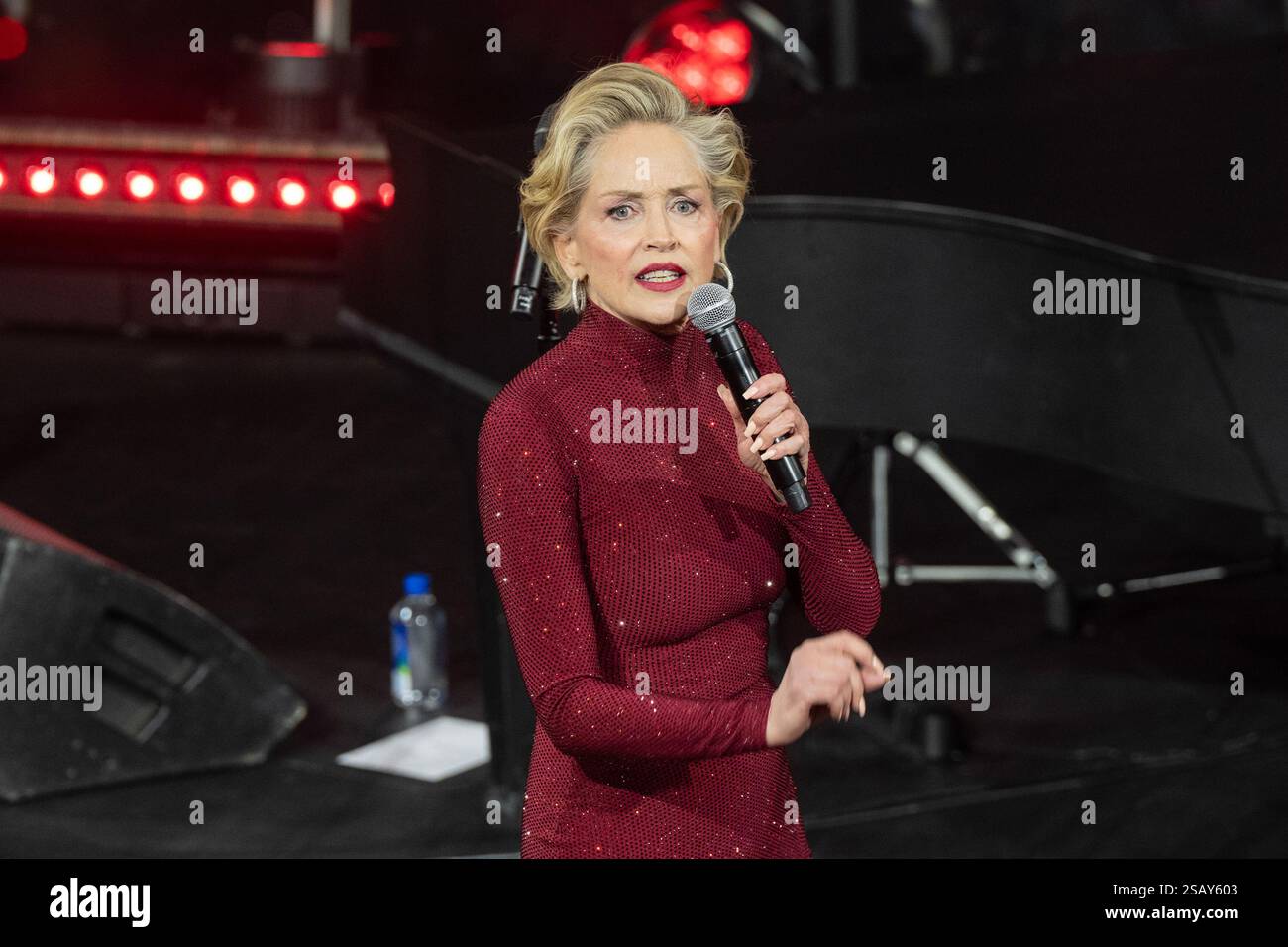 New York, NY, 30 January 2025: Sharon Stone wearing dress by Paris ...