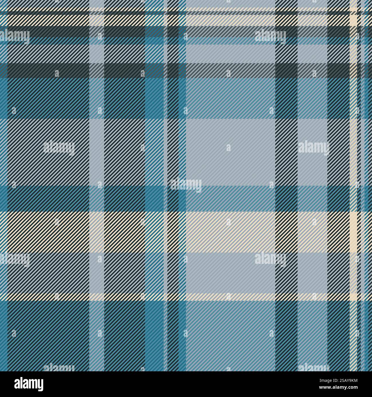 Length check background textile, expensive seamless pattern tartan ...