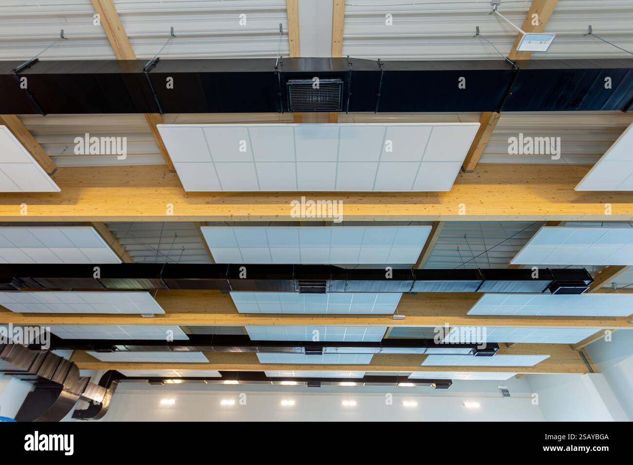 Contemporary Ceiling Design with Panels Reflecting Modern Architectural ...