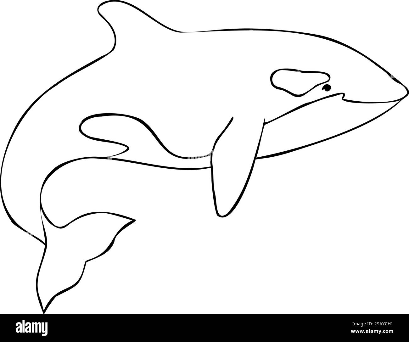 Vector contour of Killer whale or Orcinus orca. Linear Wild inhabitants of the seas and oceans ...