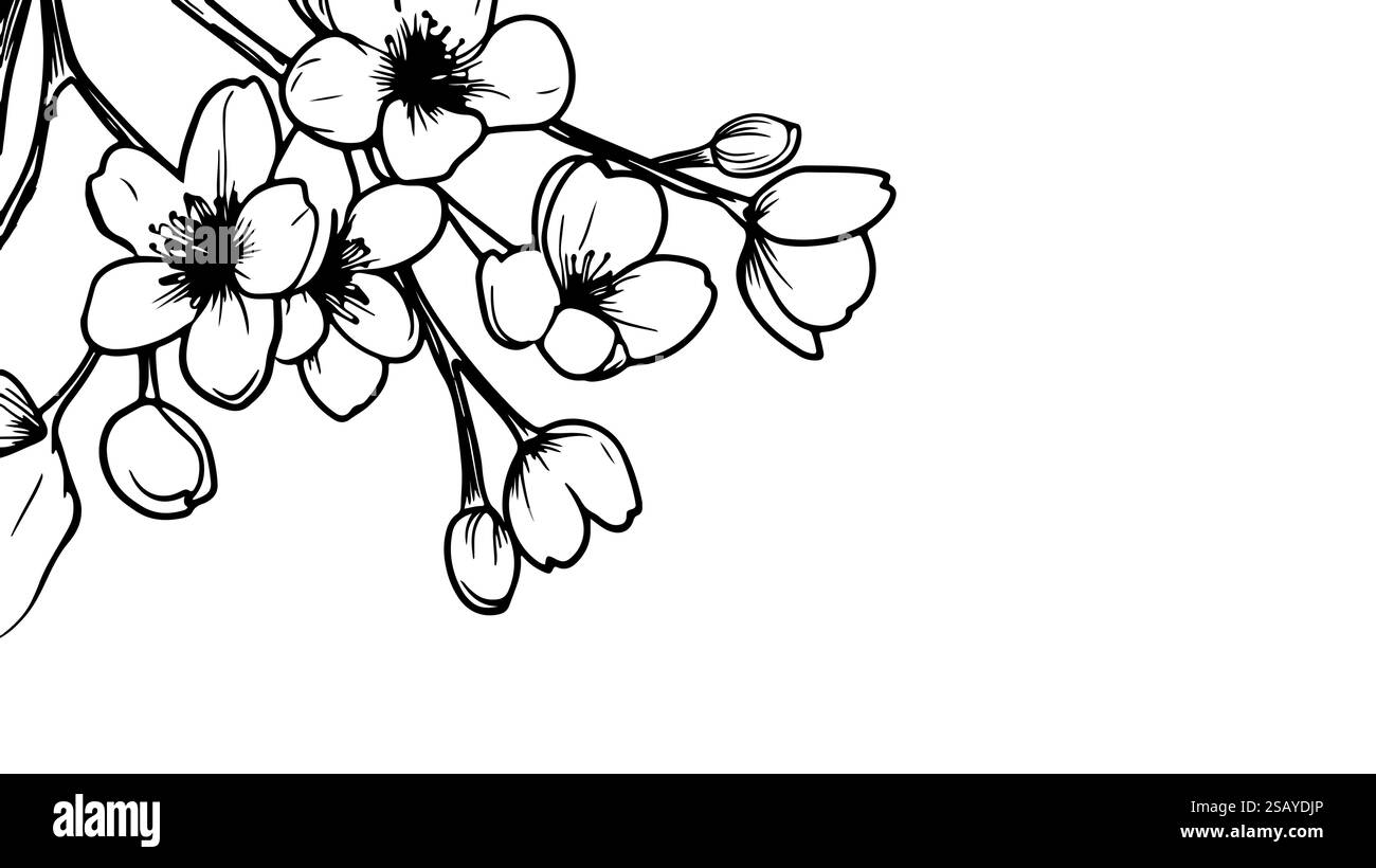 Cherry Blossom Branch Clip Art Free Vectors | Various Cherry Blossom