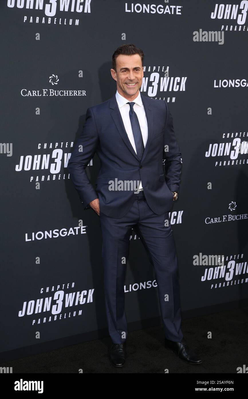 Daniel Bernhardt at the 'John Wick: Chapter 3 - Parabellum' film premiere, Arrivals, TCL Chinese ...