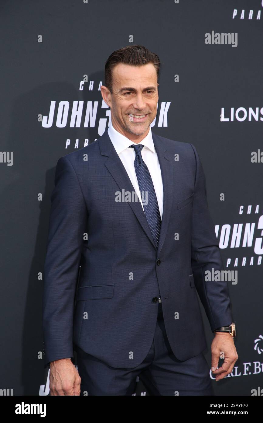 Daniel Bernhardt at the 'John Wick: Chapter 3 - Parabellum' film ...