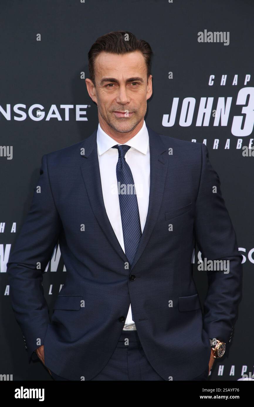 Daniel Bernhardt at the 'John Wick: Chapter 3 - Parabellum' film premiere, Arrivals, TCL Chinese ...