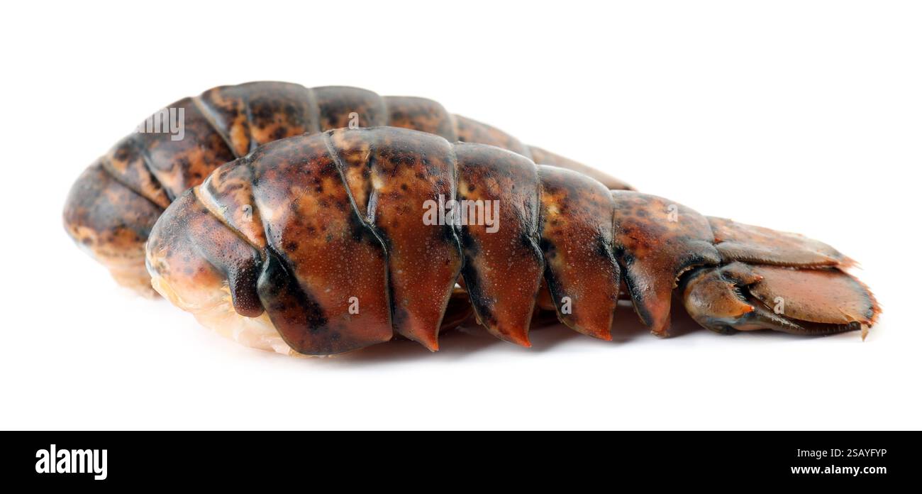 Two raw lobster tails hi-res stock photography and images - Alamy