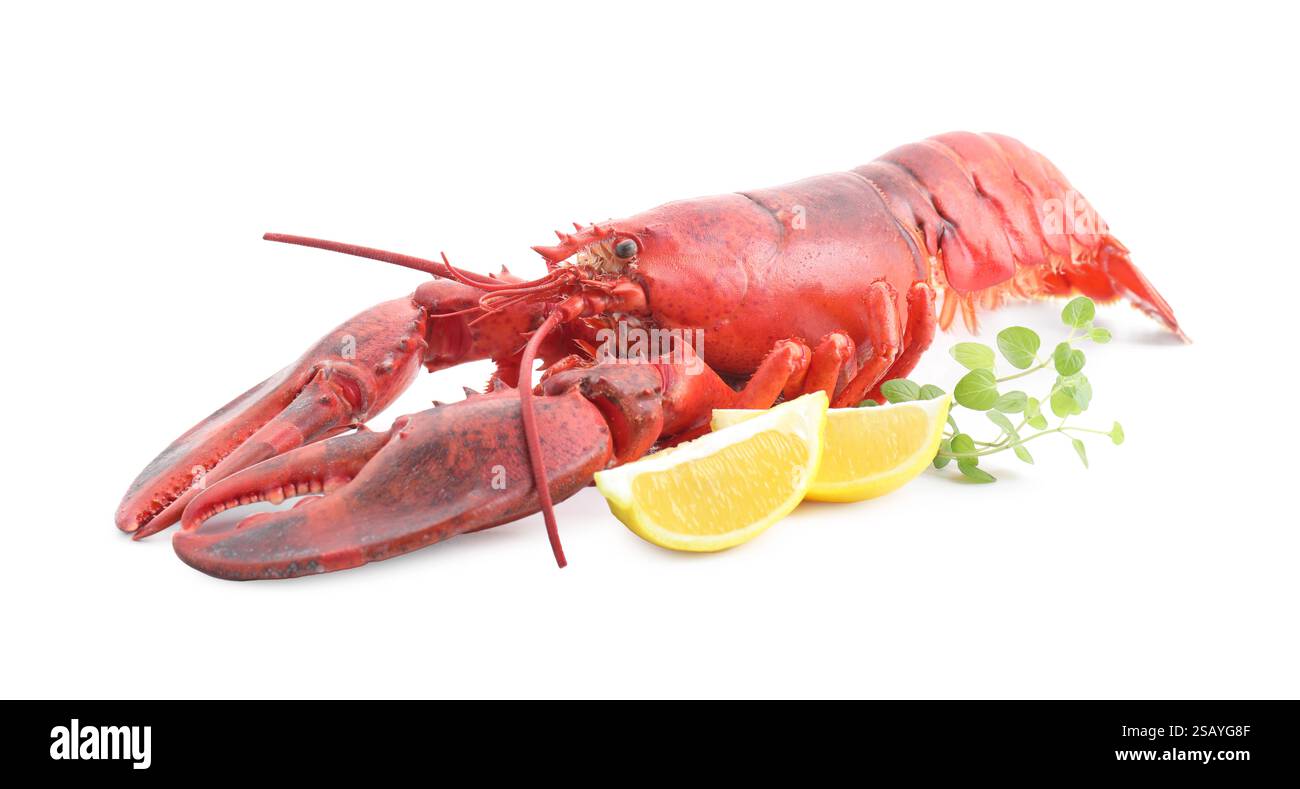 Tasty boiled lobster, lemon and microgreens isolated on white Stock ...