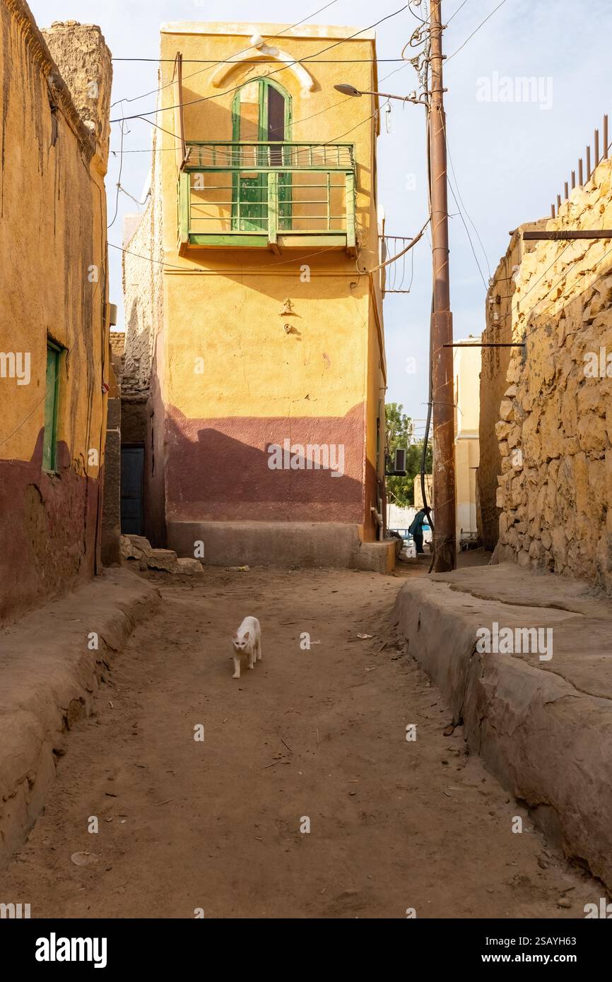 Nubian village traditional house colorful old house in Aswan Egypt ...