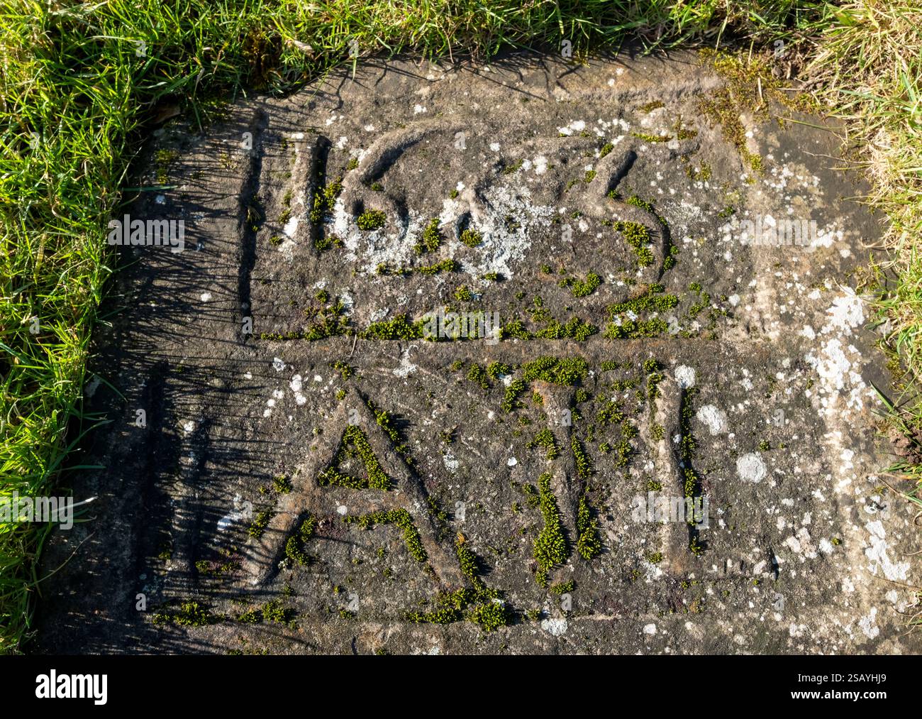 Gravestones in Old Kilmadock (St.Aedh’s) Church and Burial Ground ...