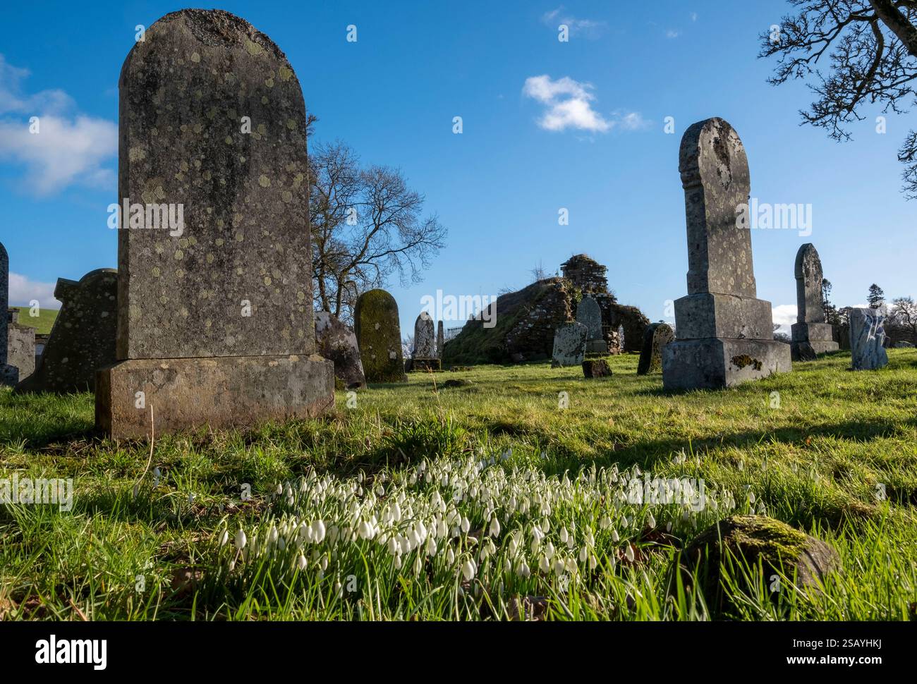 Gravestones in Old Kilmadock (St.Aedh’s) Church and Burial Ground ...