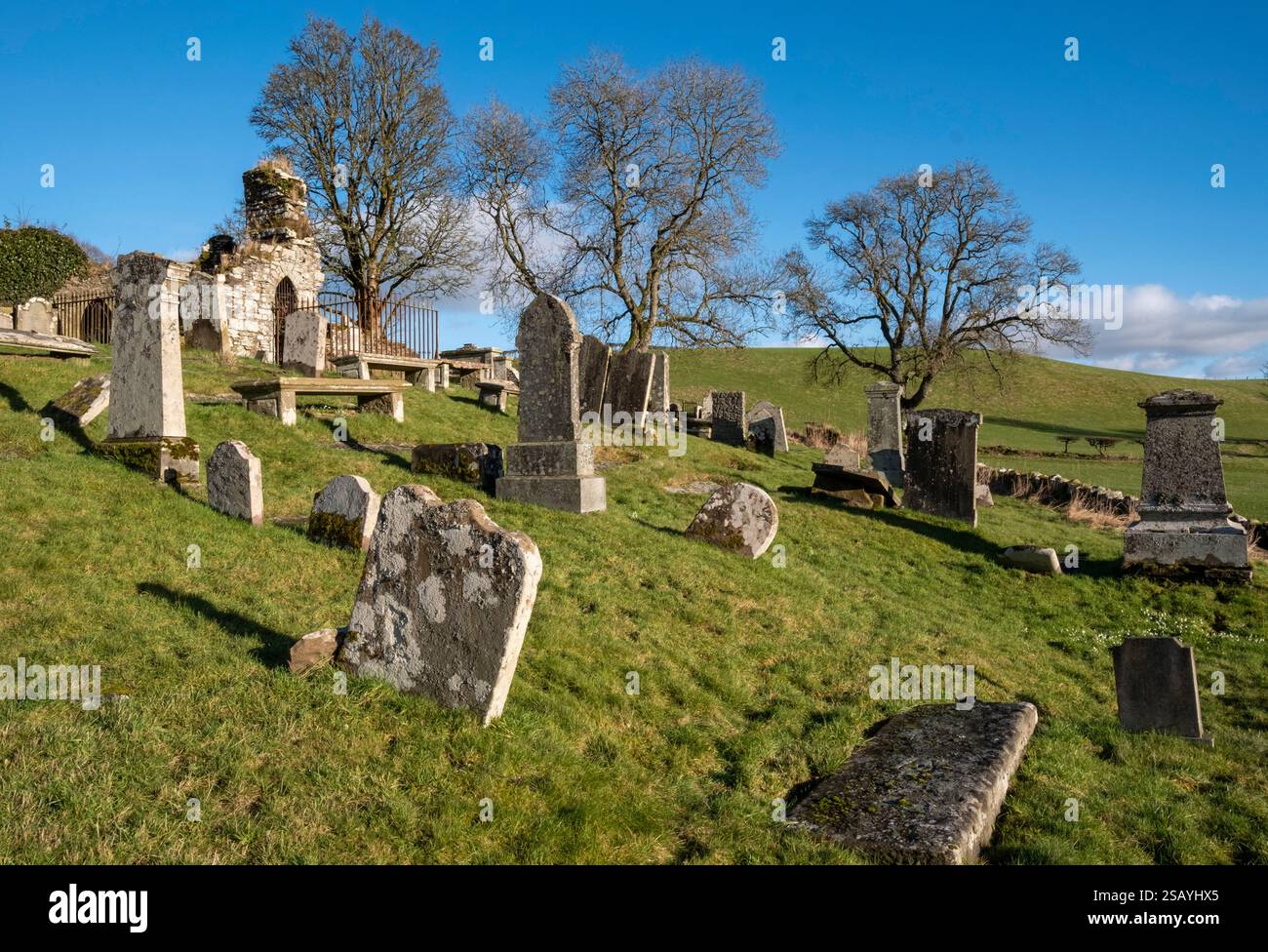 Gravestones in Old Kilmadock (St.Aedh’s) Church and Burial Ground ...