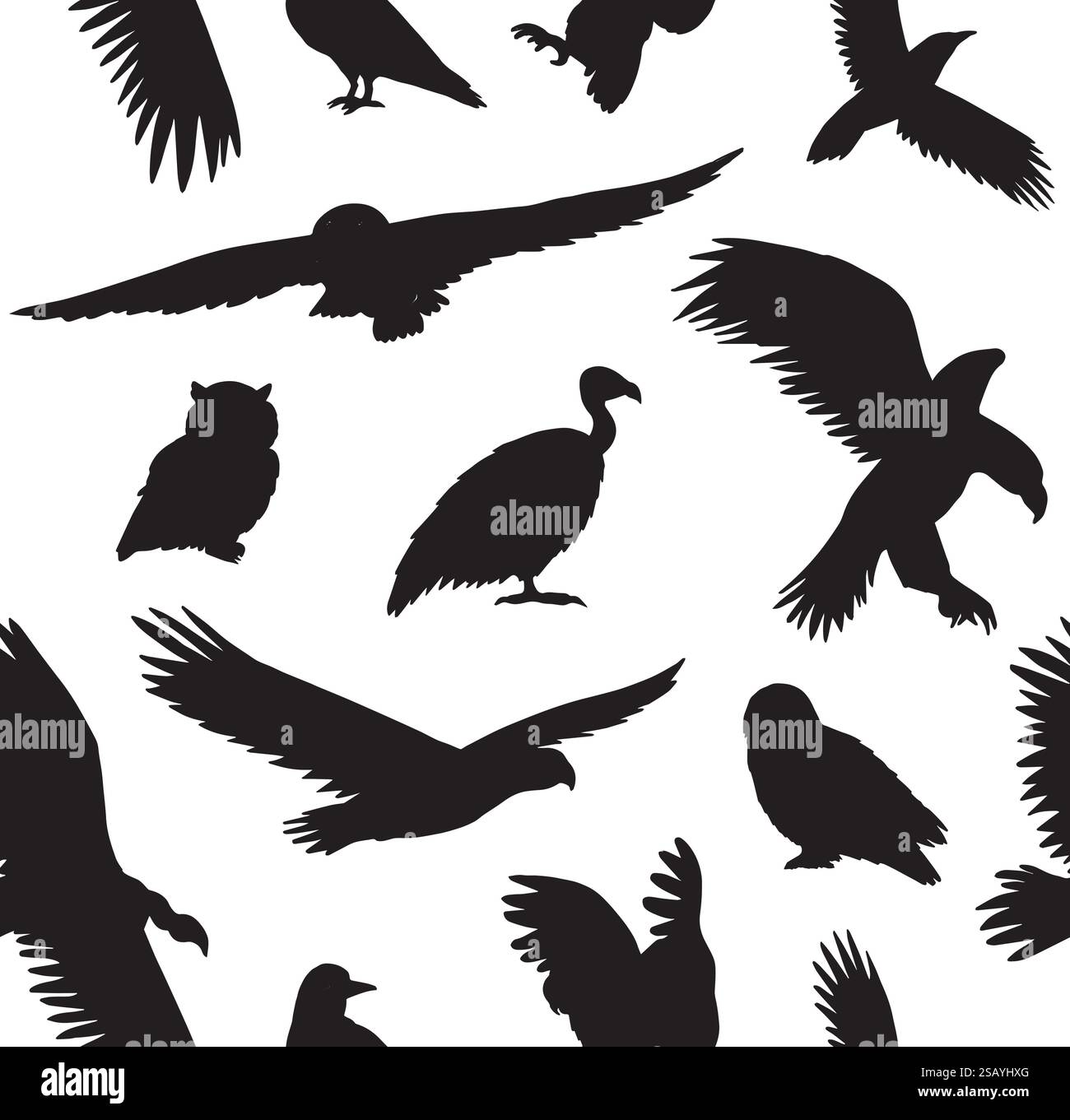 Vector seamless pattern of hand drawn wild predator birds silhouette ...