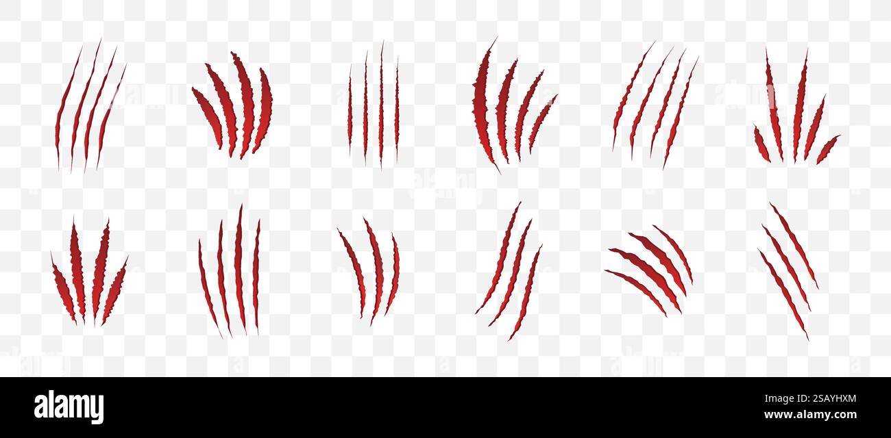 Cat scratch. Red claw scratches set isolated on transparent background ...