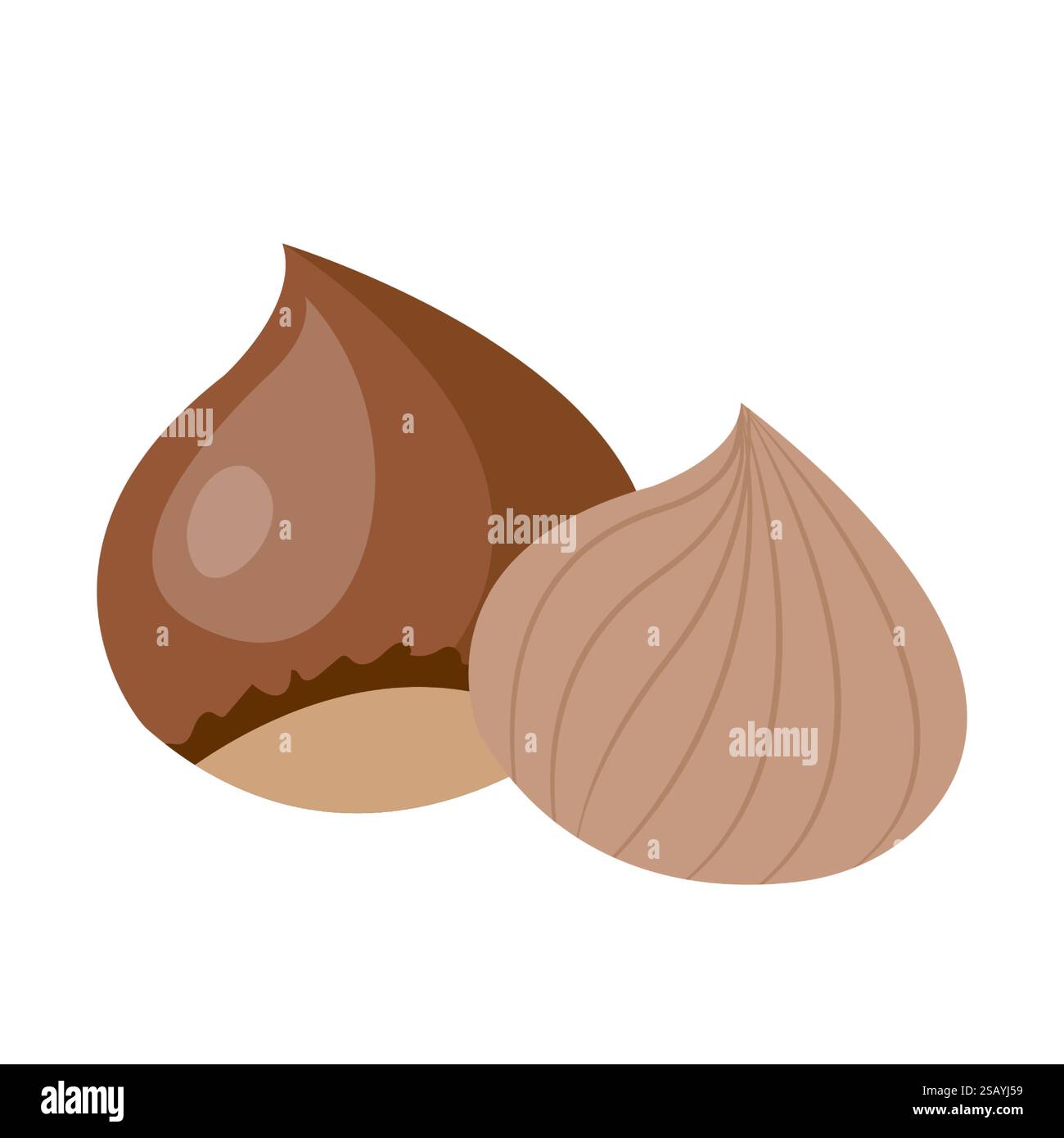 Nature plant food chestnut cartoon illustration Stock Vector Image ...