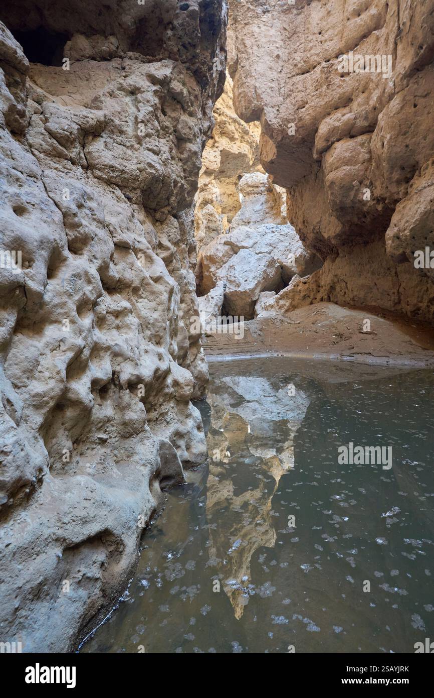 Waterhole trail africa hi-res stock photography and images - Alamy