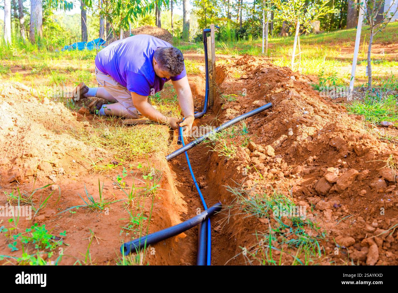 Worker is installing black irrigation PVC water pipes in freshly dug ...